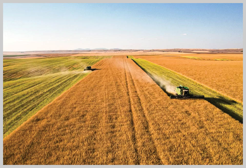 Washington Wheat Farming News | Wheat Life Magazine