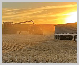 Washington Wheat Farming News | Wheat Life Magazine